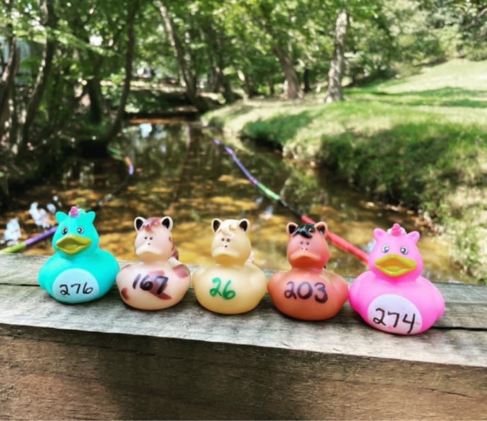 4th Annual JRHF Pony Swim – James River Horse Foundation